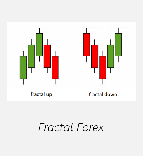 Fractal Forex คืออะไร วิธีใช้ Fractal indicator และการวิเคราะห์ - Forexduck